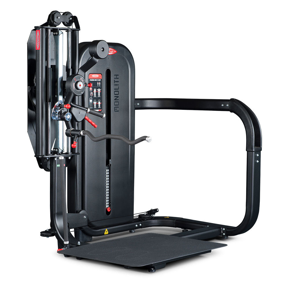 Standing total arm | Panatta MONOLITH – ウチノジム | UCHINOGYM